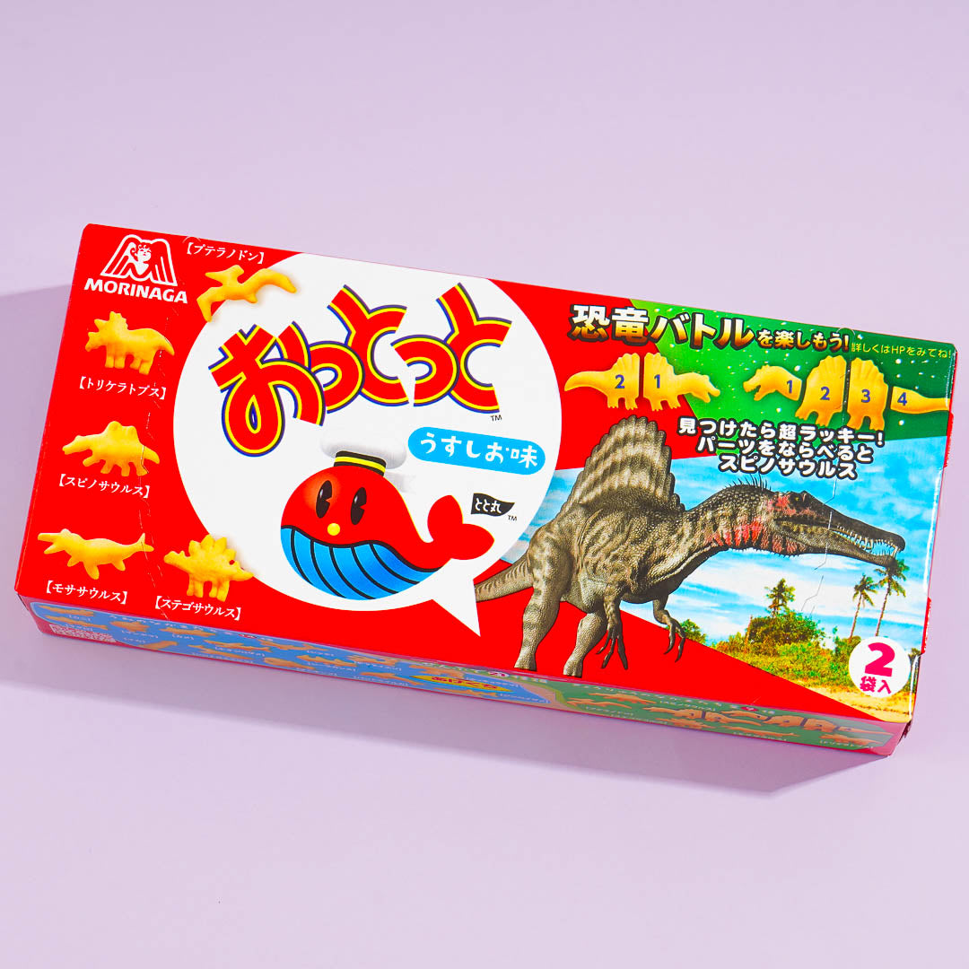 Ottotto Crackers Box - Lightly Salted – Japan Candy Store
